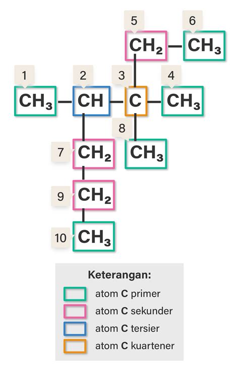 Atom C Primer Sekunder Tersier And Kuarter Dit
