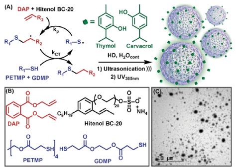A Synthesis Of Polythioether Nps Via Photopolymerization For The In Download Scientific