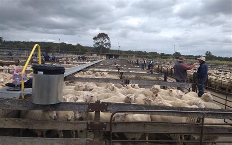 Administrator | Primary Producers SA