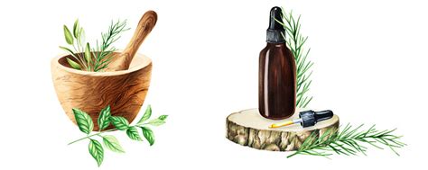 수채화 물감 혈청 병 나무 톱에 피펫이 달린 크림 흰색 배경에 분리된 나무 박격포와 유봉 미용 제품 및 식물학 요소 미용 및 의학 디자이너 스파 장식 엽서 포장지 스크랩