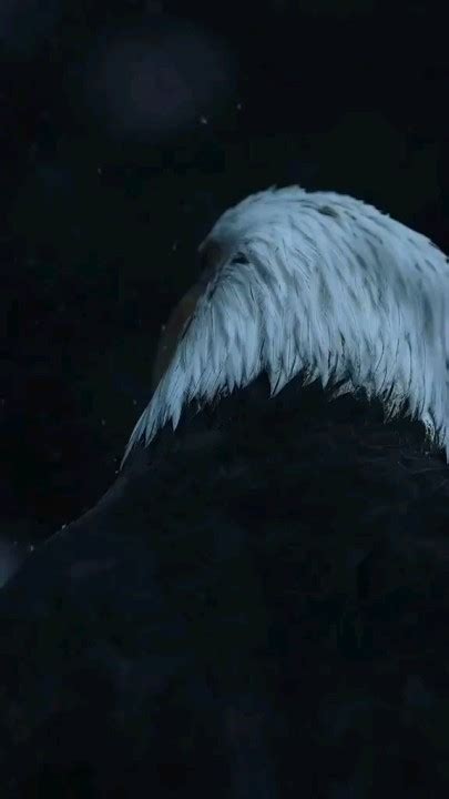 Muhammad Owais Khan Posted On Linkedin