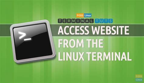 how to access a website using command line from the terminal