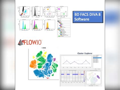 Cytometry And Cell Sorting I2mc Inserm