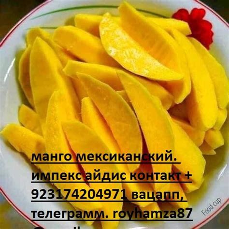 Buy Mango Mexican From Hamza Traders Pakistan