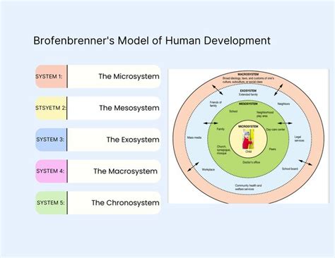 Bronfenbrenner S Model Family Day Care Human Development Doctor Office