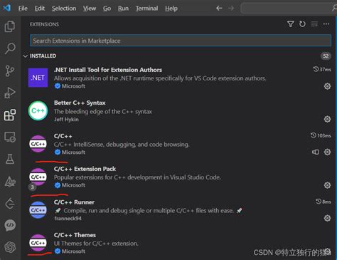 Vscode搭建开发调试STM RISC V环境IDE 最全面 阿里云开发者社区