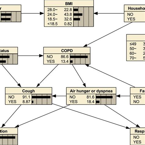 Mmhc Algorithm To Construct Copd Bayesian Networks And Prior