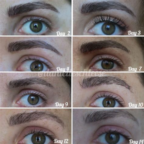 Microblading Healing Process Microblading Healing Process Microblading Healing Process