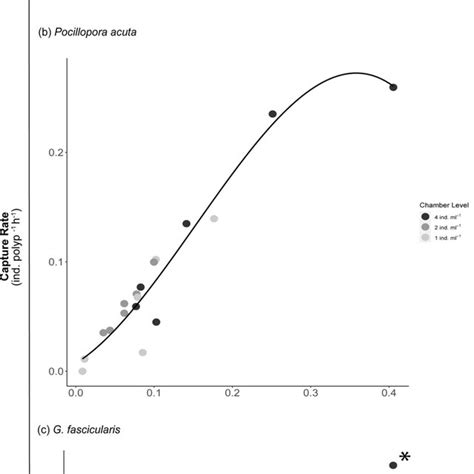 relationship between capture rate and initial prey per polyp in corals
