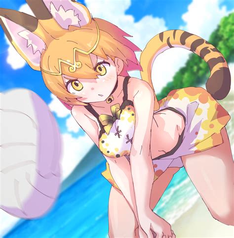 Lowlandgorilla Serval Kemono Friends Kemono Friends Kemono Friends
