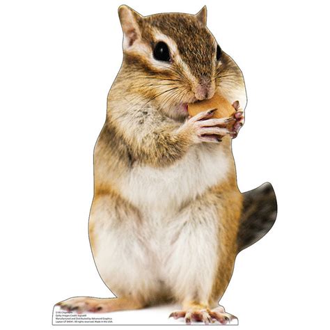 Chipmonk Cardboard Cutout Standup Standee