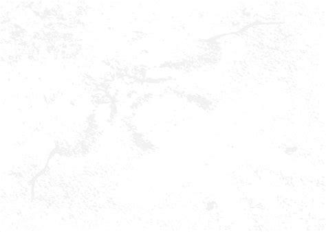 Pattern Texture White Background Vektor Premium