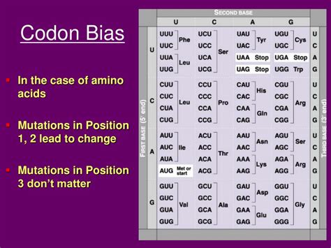 Codon Bias Table At Helen Rooker Blog