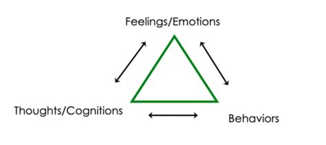 Psy 254 Exam 1 Flashcards Quizlet