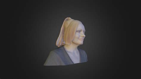 Anja Hairs 3d Model By Bertsimons [4cdc0fa] Sketchfab