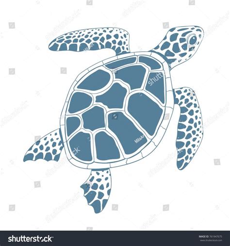 Graphic Turtle Vector Illustration Stock Vector Royalty Free