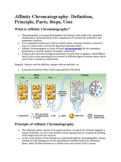 Affinity Chromatography Pdf Chromatography Protein Purification
