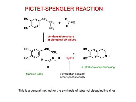 Ppt Mannich Reaction Powerpoint Presentation Free Download Id1780941