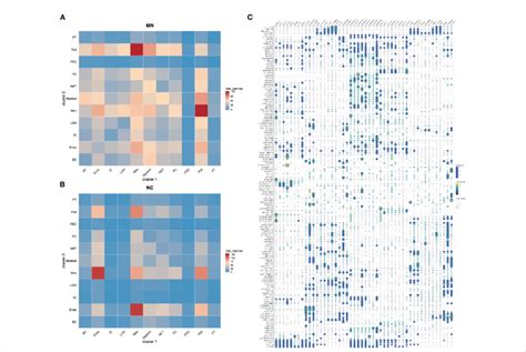 Cell Cell Interactions Of Ligands And Receptors Between Different Download Scientific Diagram