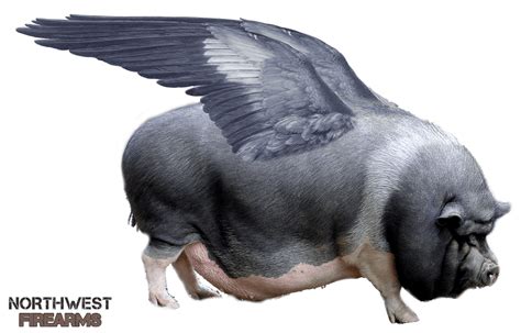 1920px Sus Scrofa Avionica Png Northwest Firearms