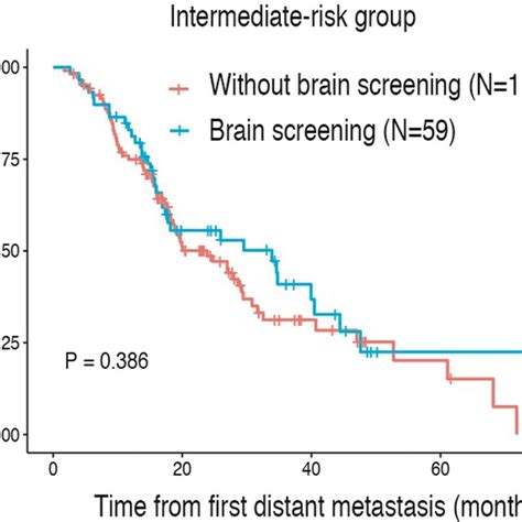 Cumulative Brain Metastasis Incidence Curves Stratified By Risk Groups