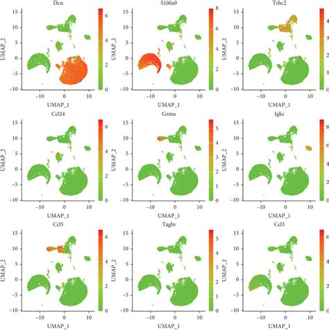 Comprehensive Analysis Of Scrna Seq Data Of Myocarditis A Mapping Of