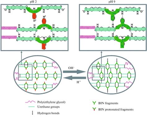 Schematic Representation Of The Shape Memory Effect In The