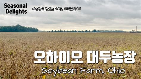 소이푸드마스터로 다녀온 미국대두농장 미국 오하이오주 Youtube