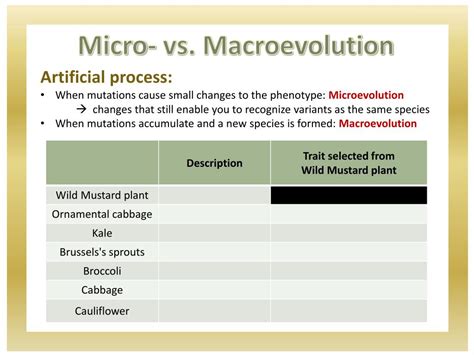 Ppt Micro To Macro Evolution Powerpoint Presentation Free Download