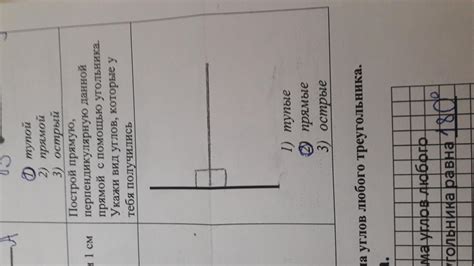 Построй прямую перпендикулярную данной прямой с помощью угольника Укажи вид углов которые