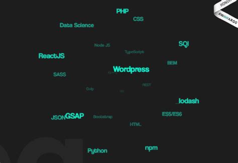 Creating A Web Developer Portfolio Best Hosts And Examples