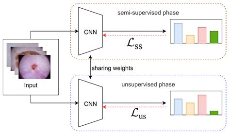 applied sciences free full text semi supervised medical image classification combined with