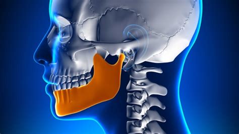 Jaw Image Swansea Bay University Health Board