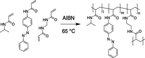 “偶氮苯”水凝胶：光之舞者 X Mol资讯