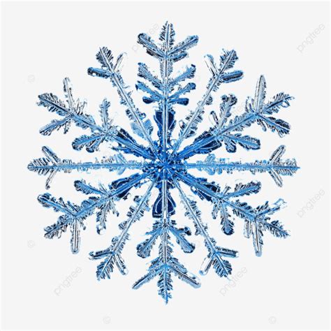 Blue Snowflake On Isolated Black Background Abstract Blue Snowflake