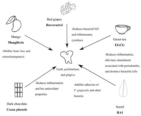 Dietary Polyphenols And Periodontitis—a Mini Review Of Literature