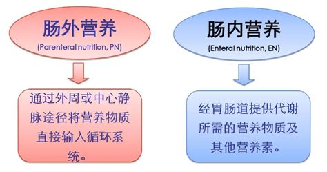 一图读懂肠内营养和肠外营养