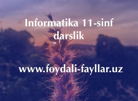 Informatika 11 Sinf Darslik Informatika Fanidan Darslik