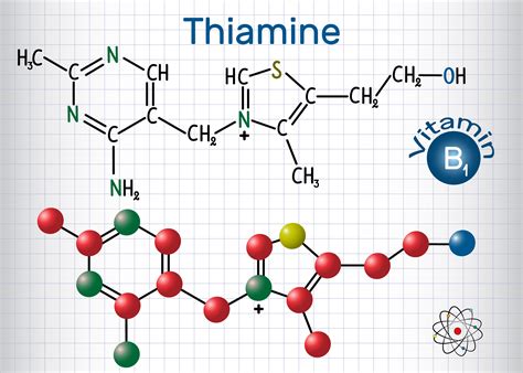 Vitamin B1 Compedium