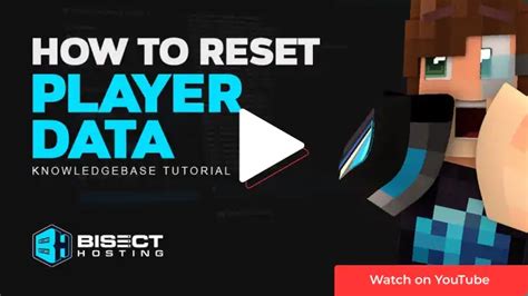 How To Reset Player Data On A Minecraft Server Knowledgebase
