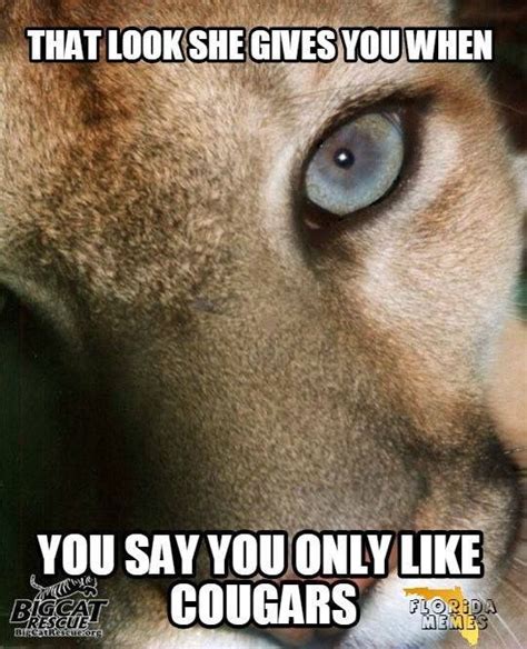 Funny Cougar Memes Meme Memes Trollercoaster Funny Jokes Lol