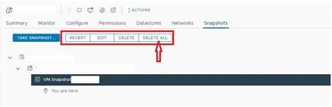 Manage Vmware Snapshots Delete Or Edit Or Revert A Snapshot