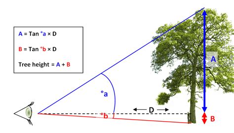 How To Find Height In Trigonometry Height Of Triangle How To Find Height In Trigonometry Height Of Triangle