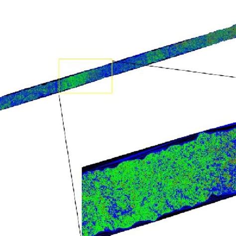 Tree Canopy Height Variations Over The Selected Lidar Transect