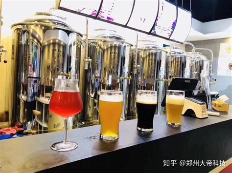生啤熟啤精酿原浆纯生扎啤干啤冰啤分别是什么 知乎