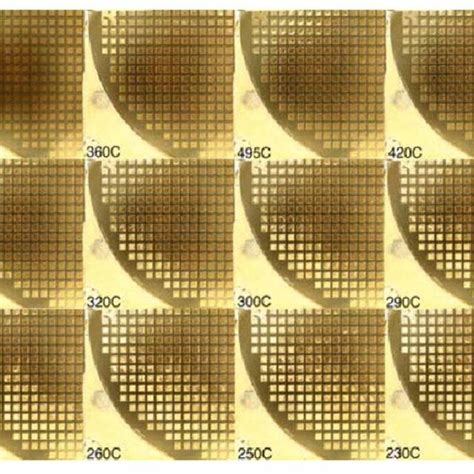 Yong Yang Professor Phd Princeton University City University Of Hong Kong Kowloon