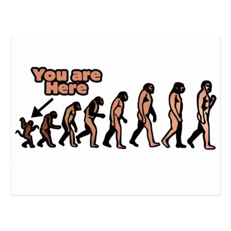 Mean Evolution Parody Postcard Zazzle