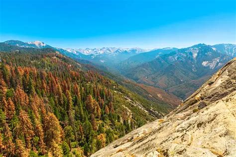 Imágenes De Parque Nacional Moro Rock Sequoia Descarga Imágenes