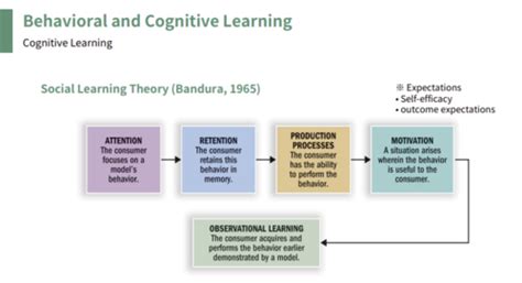 Lec 10 Behavioral And Cognitive Learning 2 Flashcards Quizlet