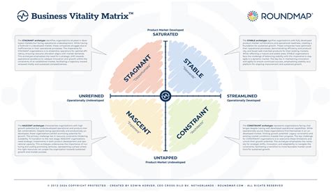 Business Vitality Matrix Strategic Pathways Toward Sustainable Growth